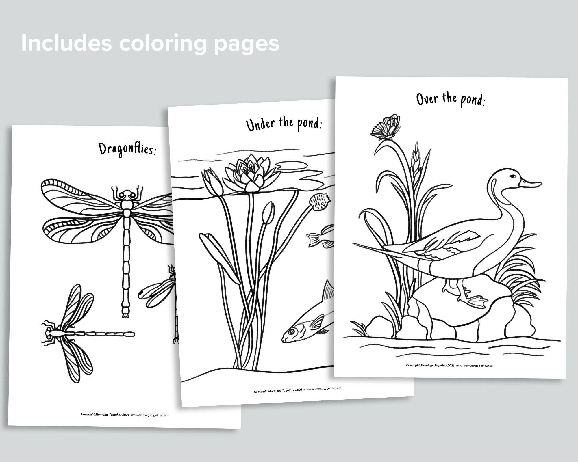 Pond Habitat Coloring Page