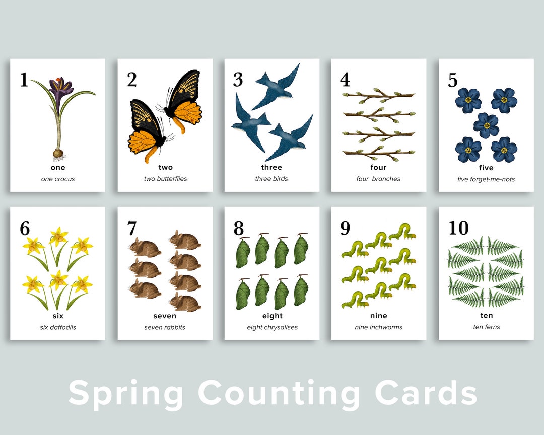 Spring Nature Number Cards Printable | Homeschool Printables | Holiday ...
