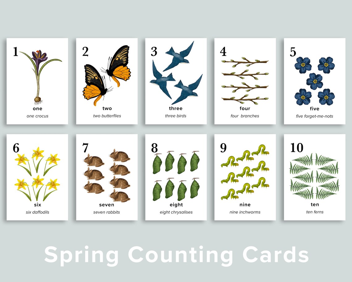 Spring Nature Number Cards Printable Homeschool Printables | Etsy