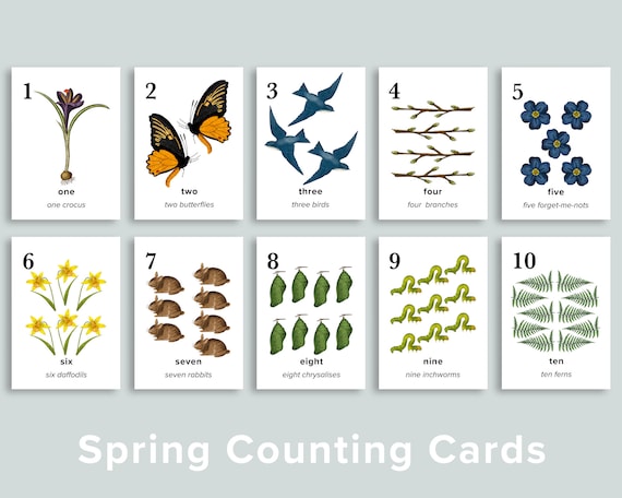 Spring Nature Number Cards Printable Homeschool Printables | Etsy