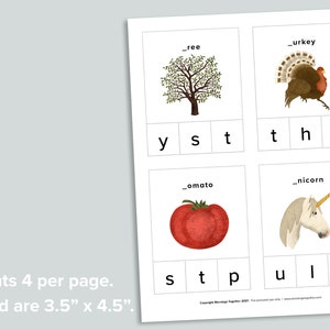 Beginning Sounds Clip Cards | Nature ABC Printable | Phonics Activity ...