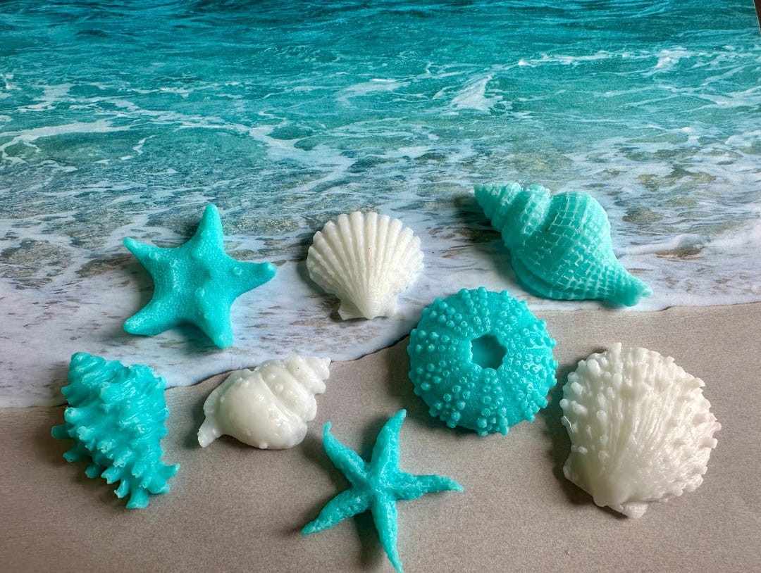 Mini Seashell Soaps (pack of 8): Beach Wedding Favors - Etsy
