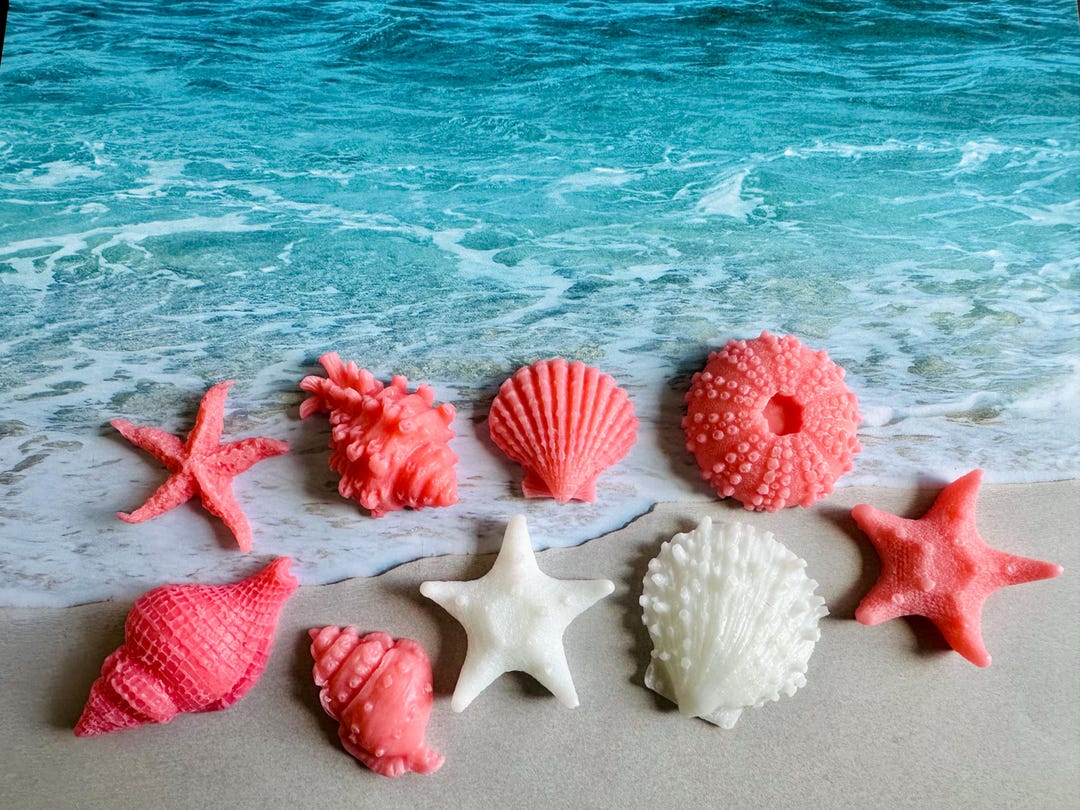 Seashell Soaps (pack of 9): Beach Wedding Favors, Coastal Decor - Etsy