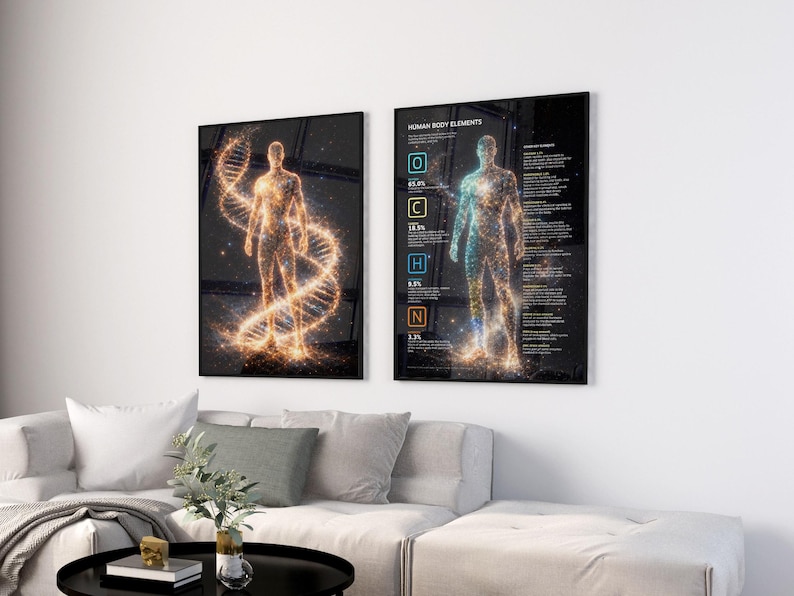 Human Body Elements — Science Poster. Educational Anatomy Print ...