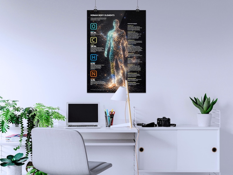 Human Body Elements — Science Poster. Educational Anatomy Print ...