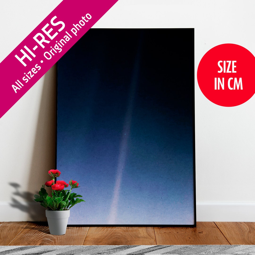 Pale Blue Dot Poster, Voyager 1 Poster 2020 Revision Space Poster ...