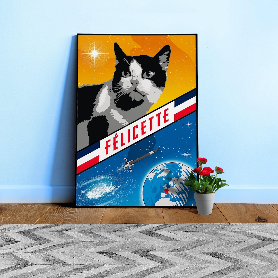Felicette, First Cat in Space, France, 1963 — Vintage Space Poster ...