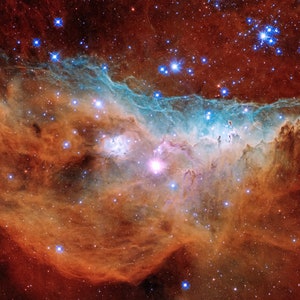 Cosmic Reef, NGC 2014, NASA Hubble Space Telescope — Space Poster ...