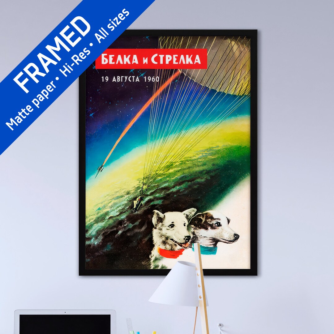 Belka and Strelka, USSR 1960 first Soviet Space Dogs Framed Matte Paper Poster. Soviet Vintage ...