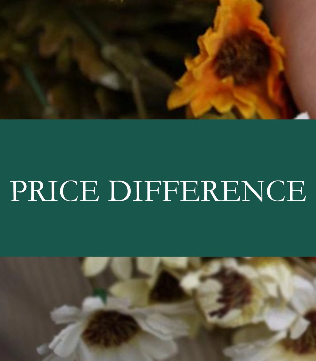 Price Difference - Etsy
