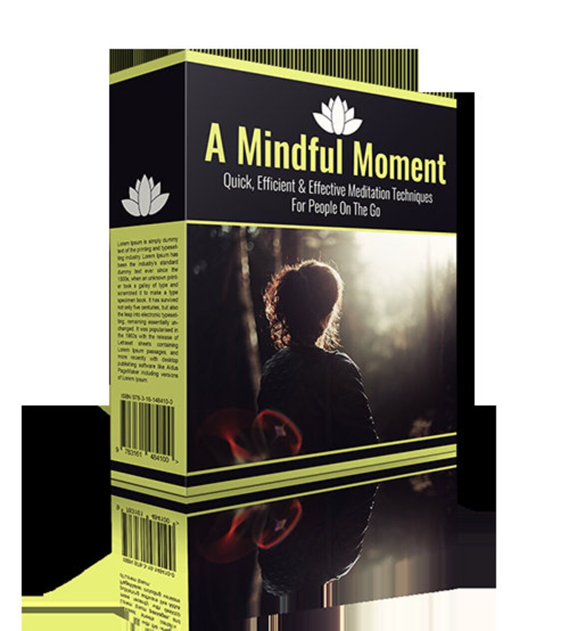 A Mindful Moment Quick, Efficient & Effective Meditation Techniques for ...
