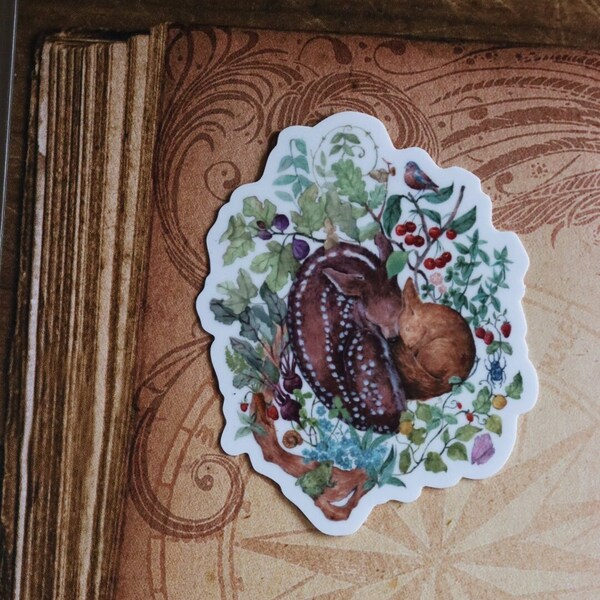 Fairycore Stickers - Etsy