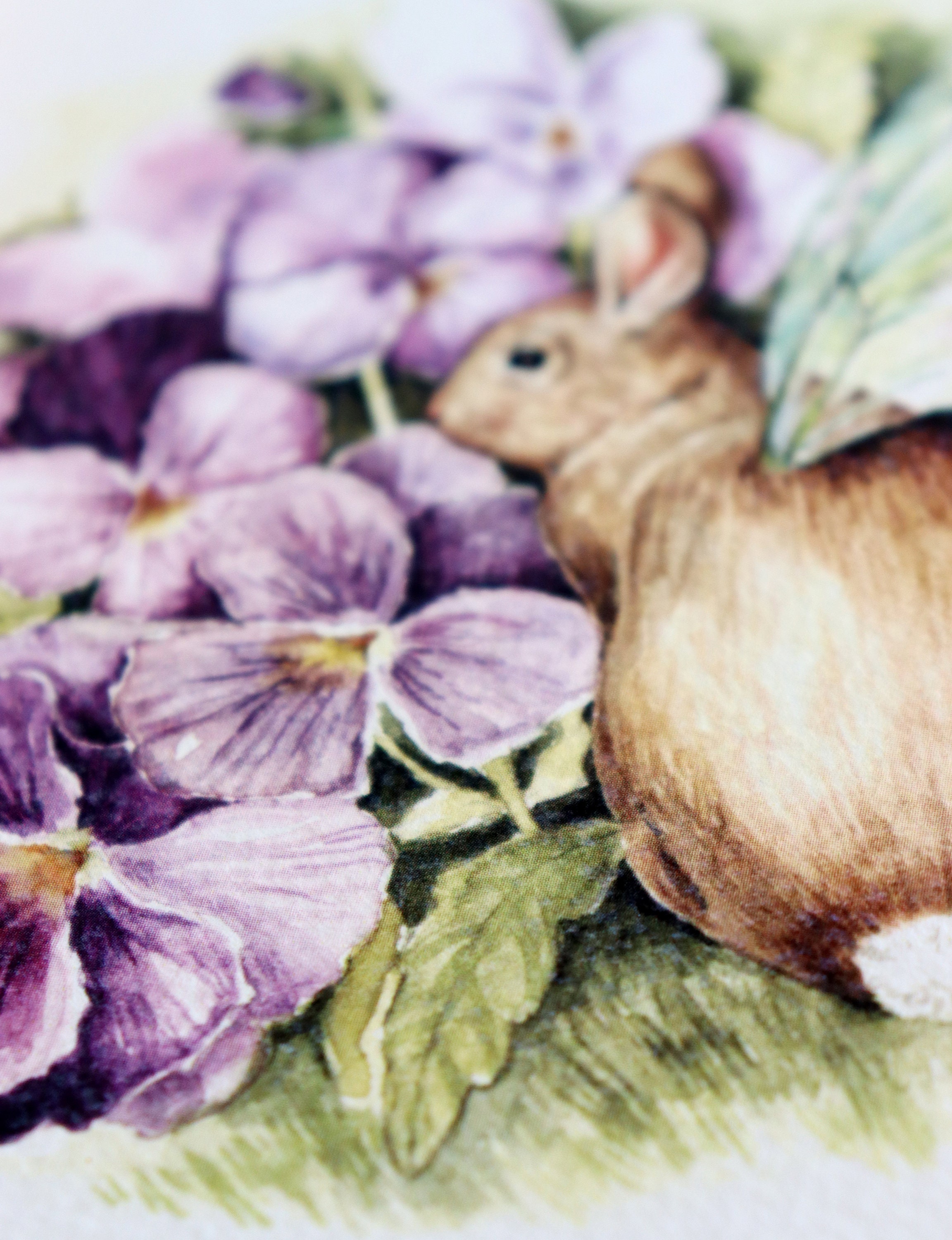 Rabbit Art Rabbit Illustration Bunny and Violets Woodland | Etsy