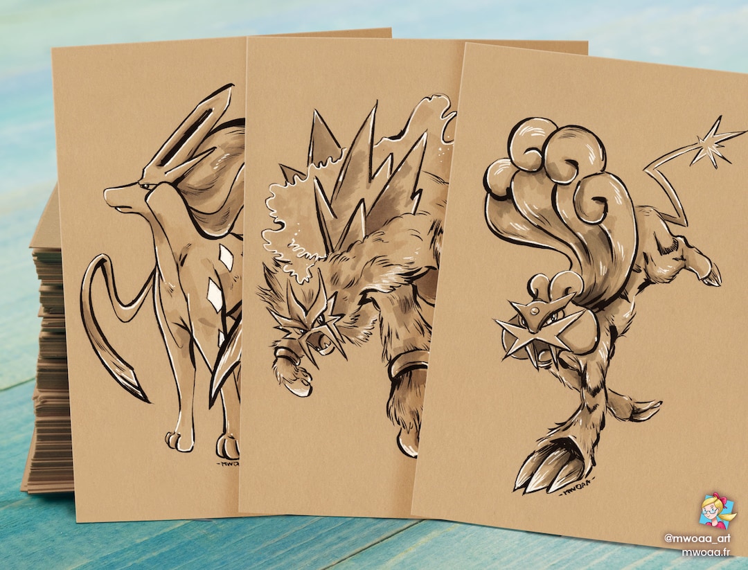 Suicune Entei et Raikou Reproduction A5 sur papier recyclé d'une ...