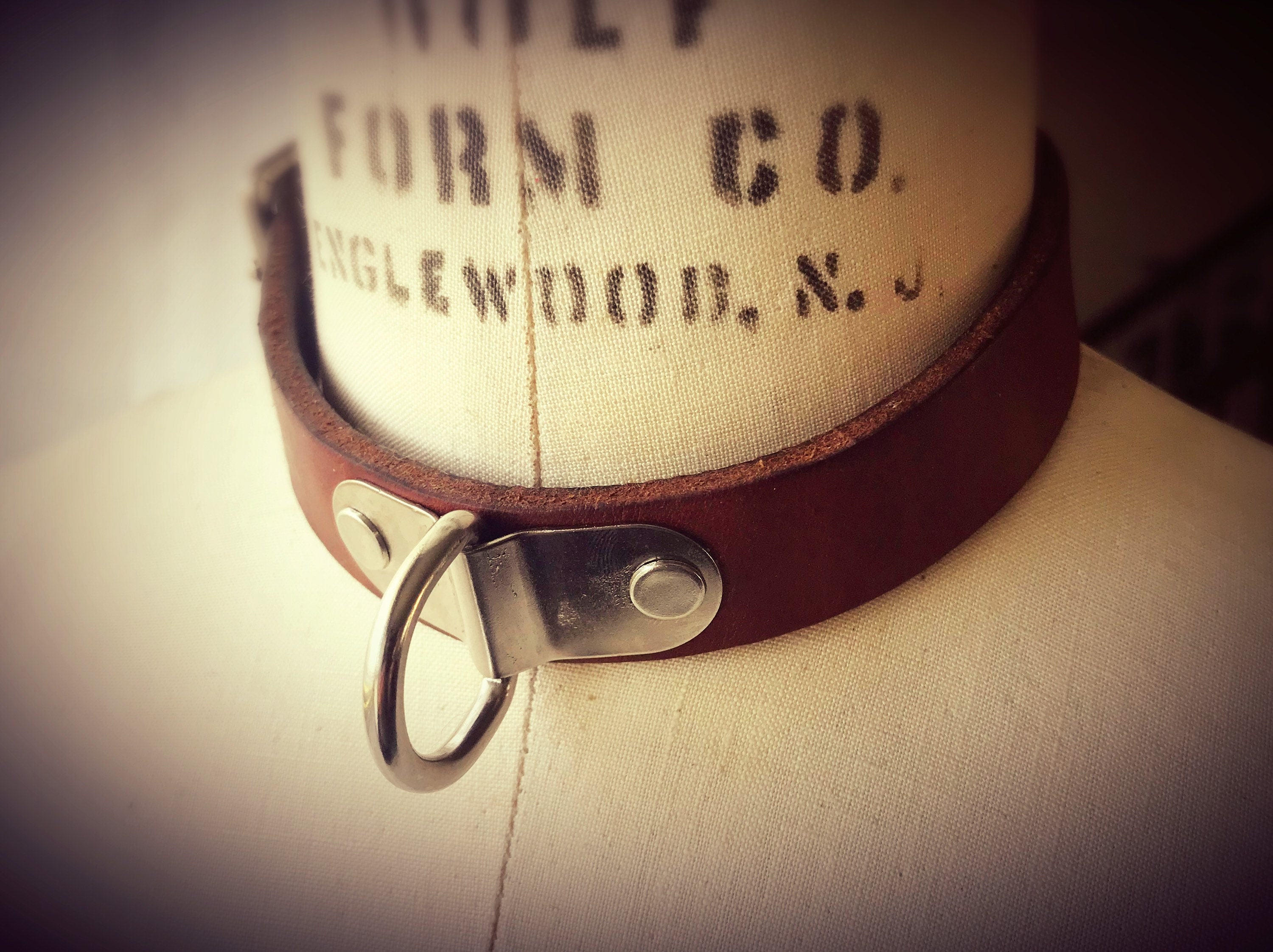 Copper Rivet Stirrup Strap O Ring BDSM Collar DDLG or | Etsy