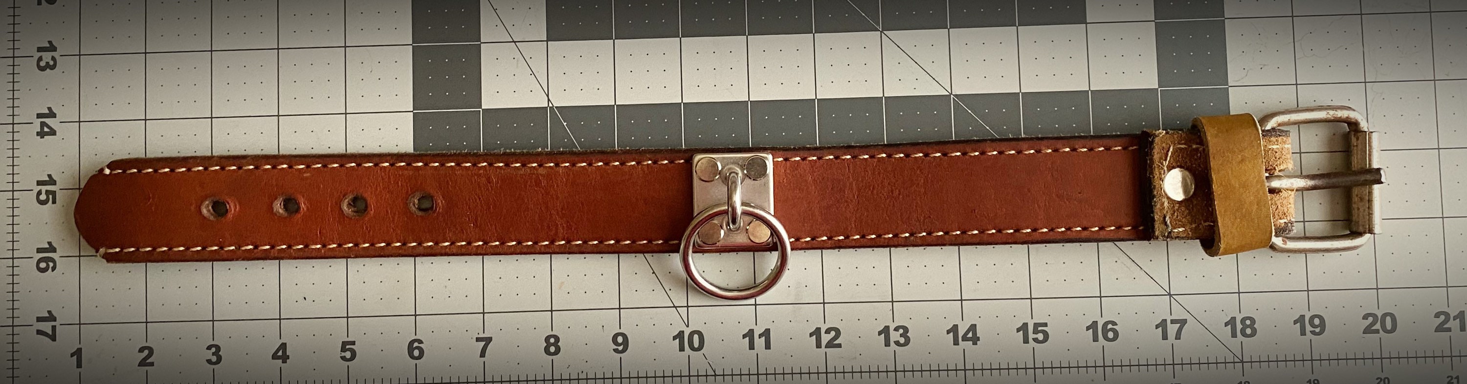 Rear Cinch Strap O Ring BDSM Collar DDLG or Horse Tack | Etsy