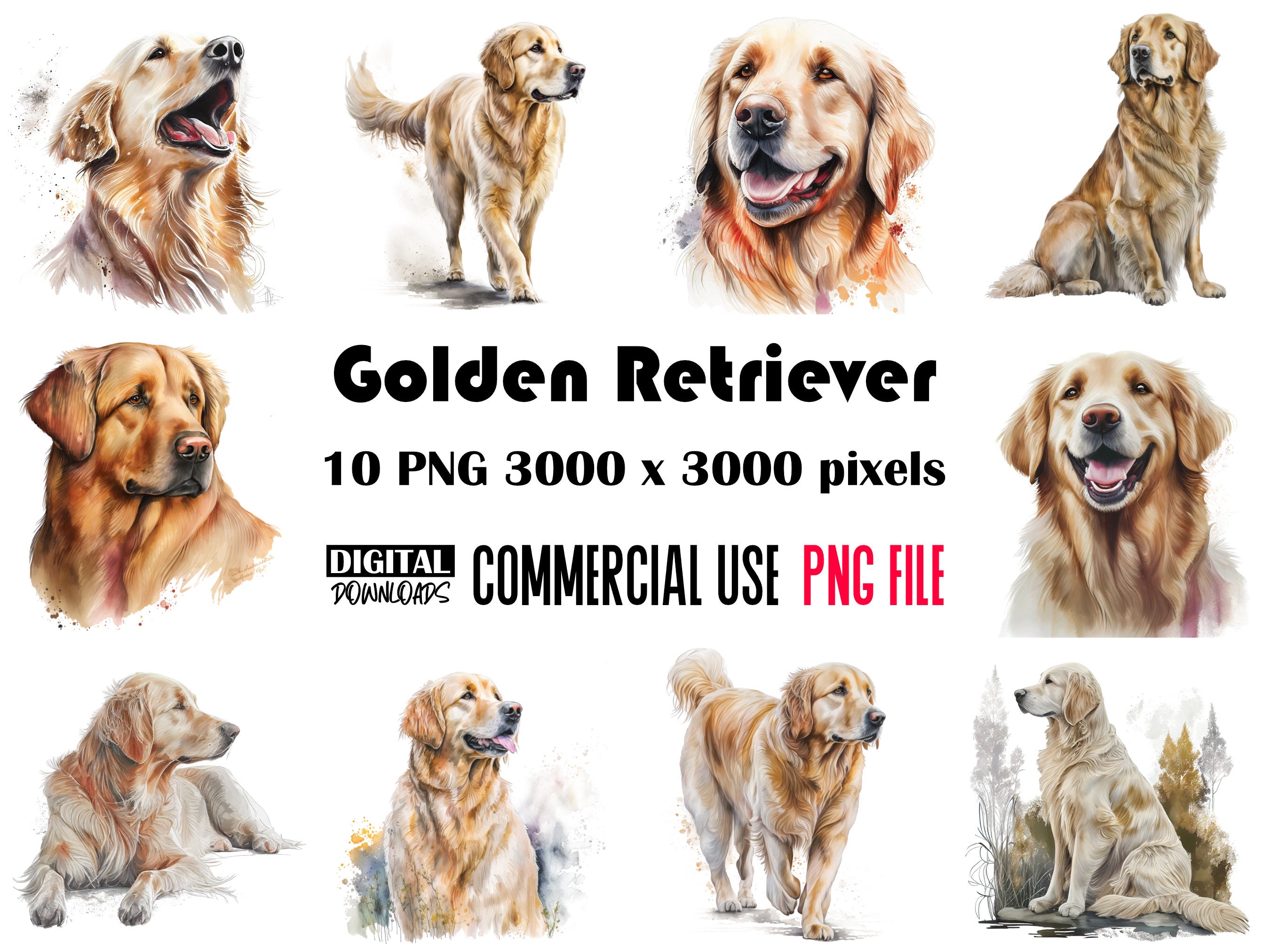 Golden Retriever Png, Golden Retriever Clipart, Golden Retriever ...