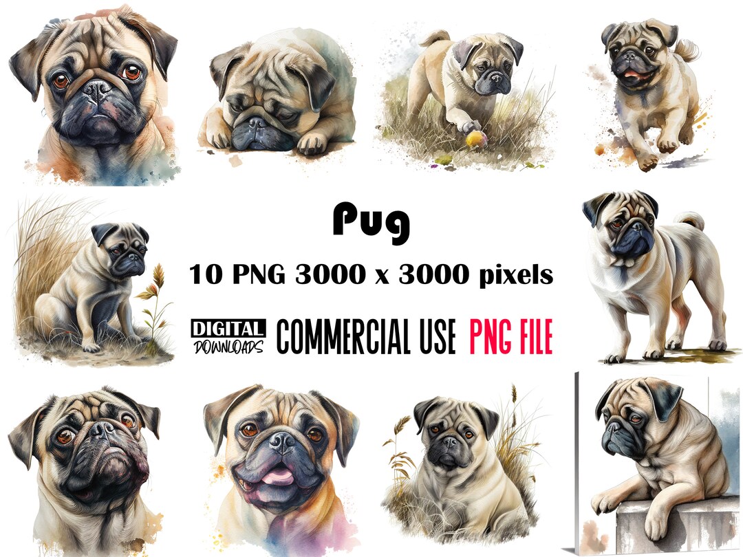 Pug Watercolor Clipart Bundle: Dog Sublimation PNG (instant Download ...