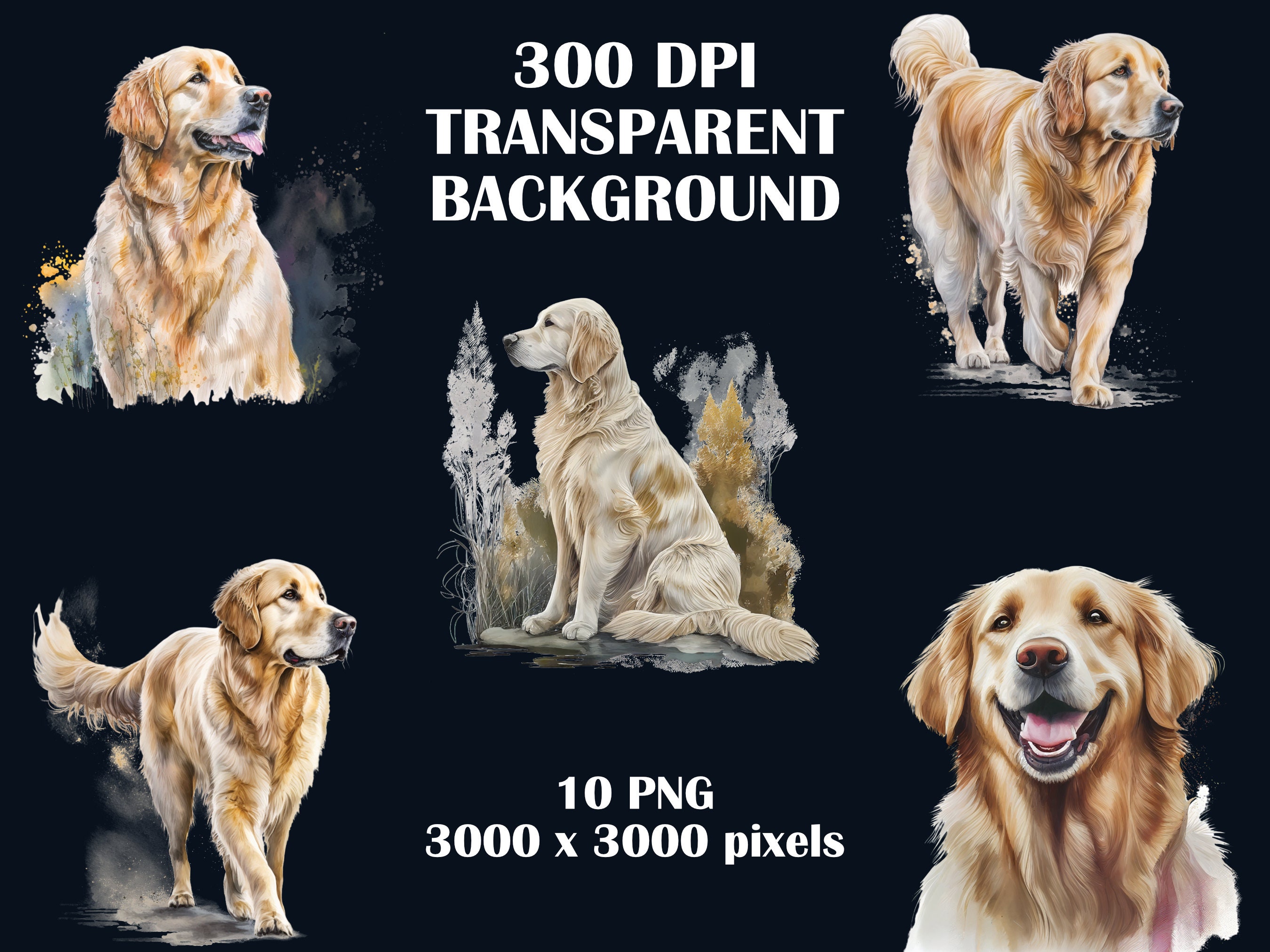 Golden Retriever Png, Golden Retriever Clipart, Golden Retriever ...