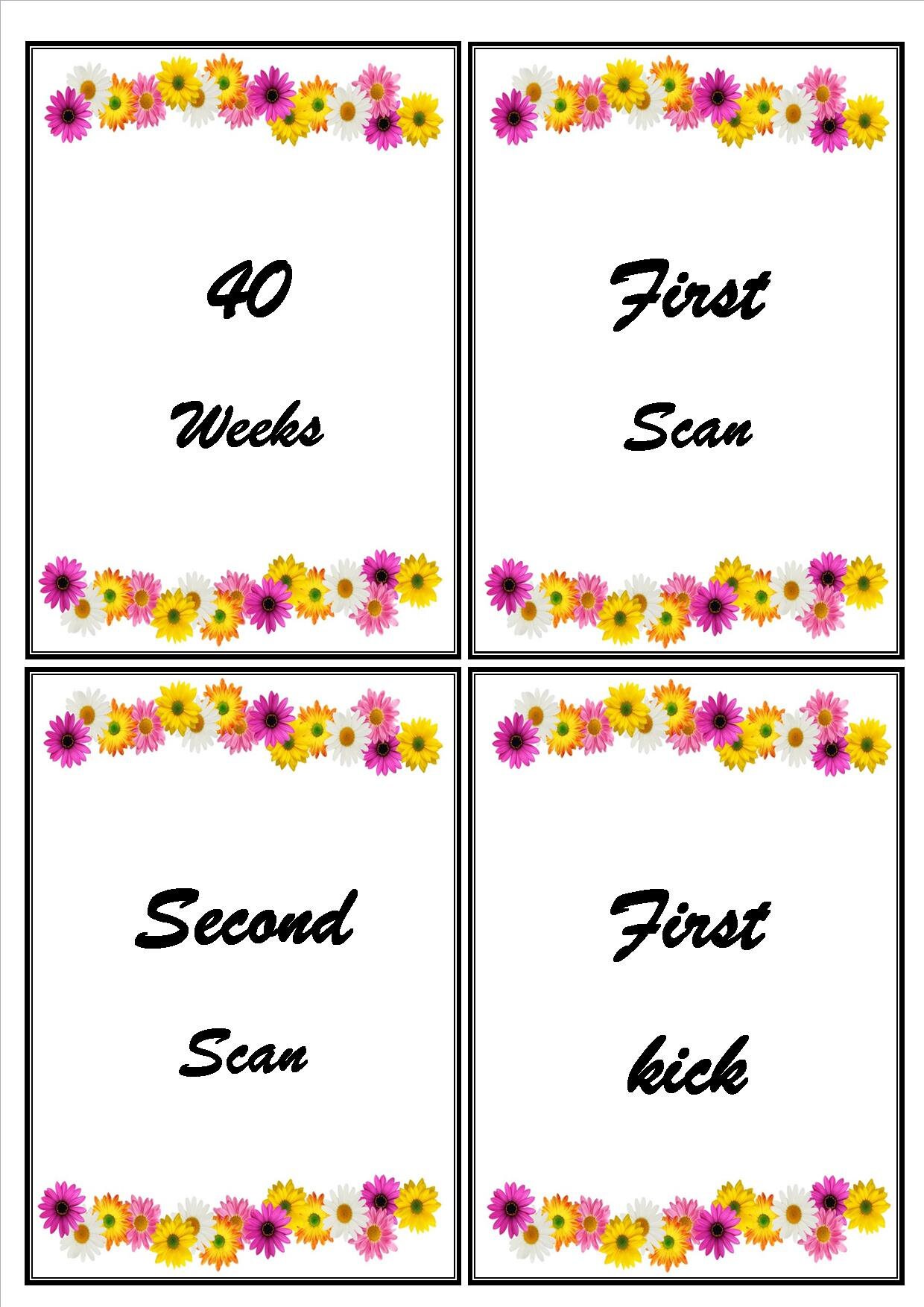 Pregnancy Milestone Cards. Bump Cards. Colourful Daisies - Etsy