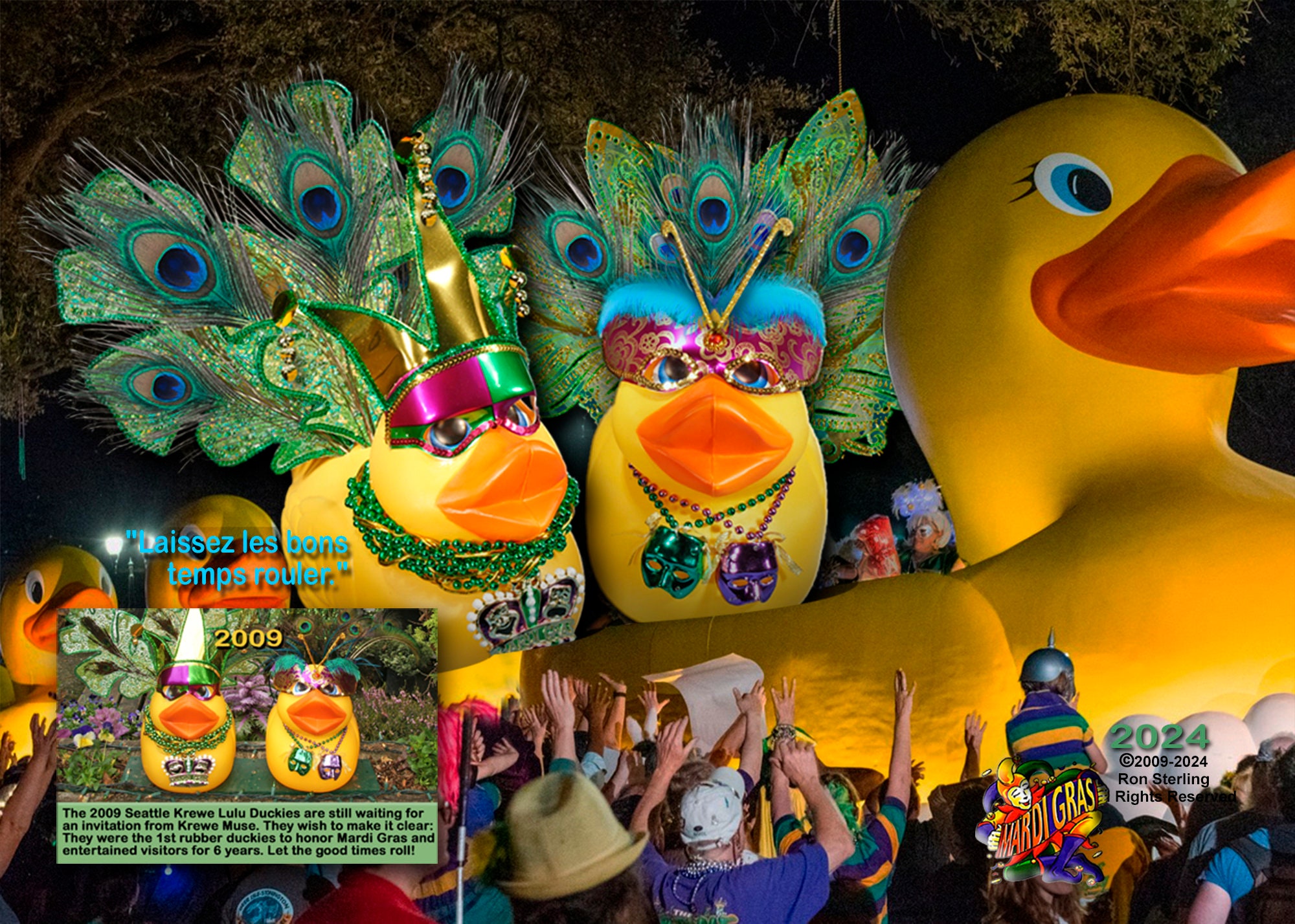 Download 16x9 Mardi Gras 2024 Delulu Rubber Ducks Android Format Image ...