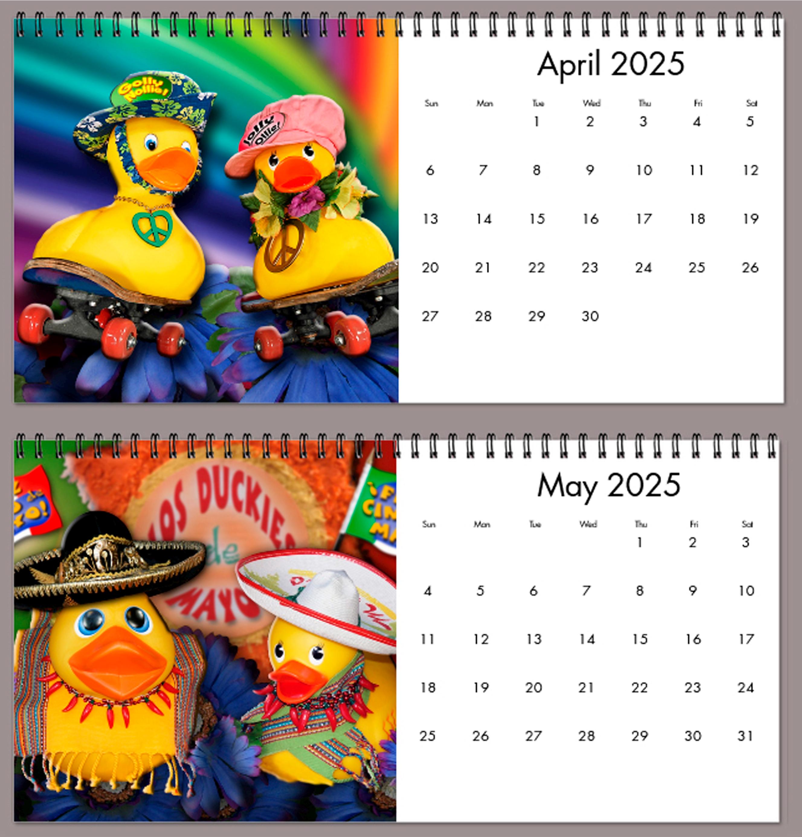 2025 Rubber Duck Desktop Calendar 12 Mo + Cover - 13 Unique Delulu ...