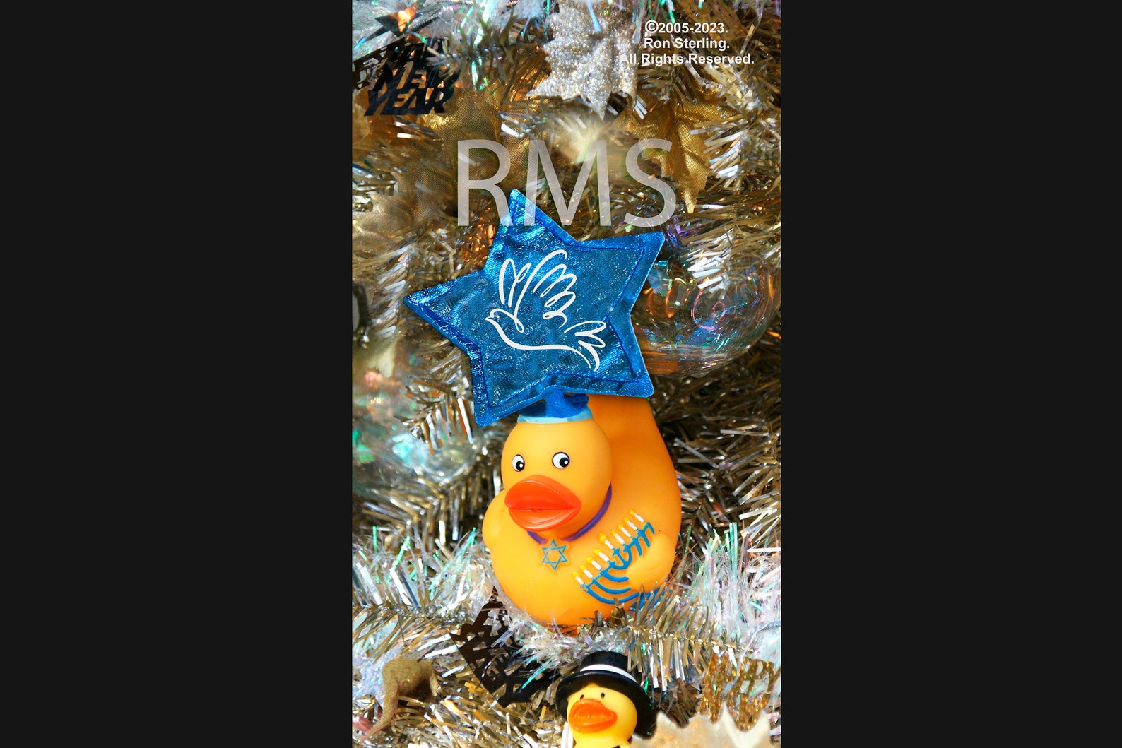 Download 16x9 Jewish Hanukkah Holiday Rubber Duck Wearing Peace Hat ...