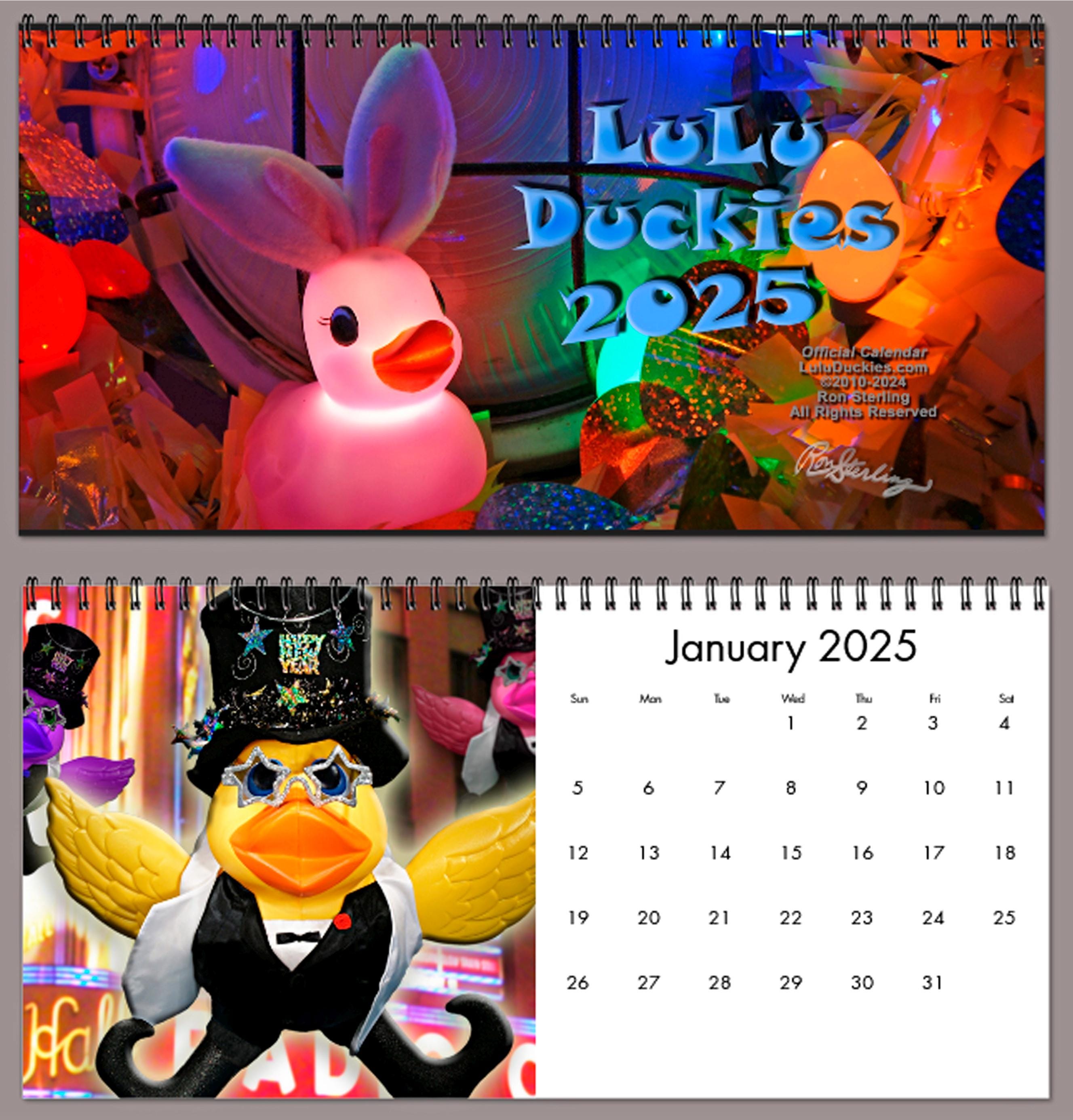 2025 Rubber Duck Desktop Calendar 12 Mo + Cover - 13 Unique Delulu ...