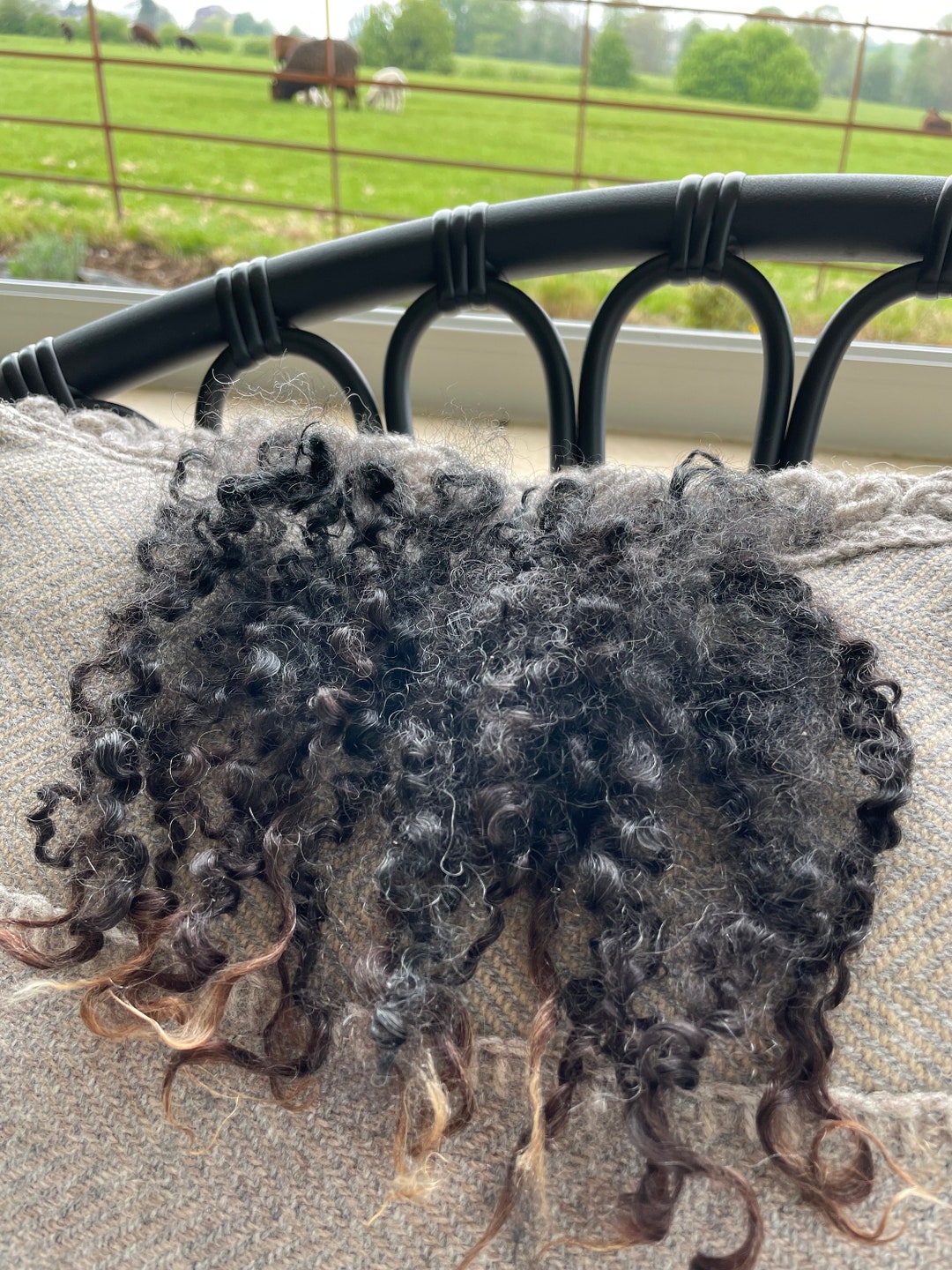 Rare Black/silver Long Locks 8"-10" - Etsy