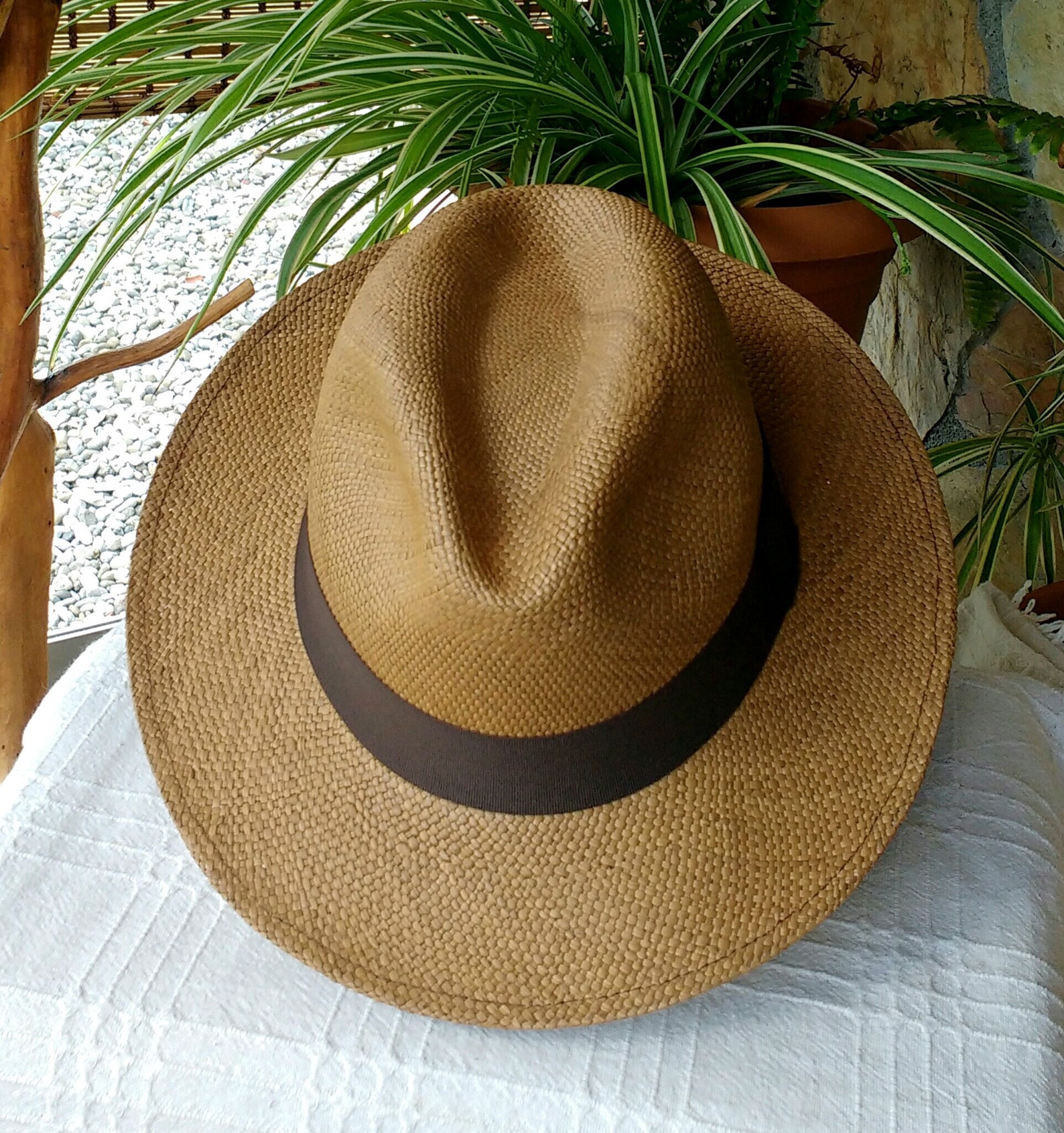 Genuine Ecuadorian Panama Hat Coffee Brown Coloured With Removable Band ...