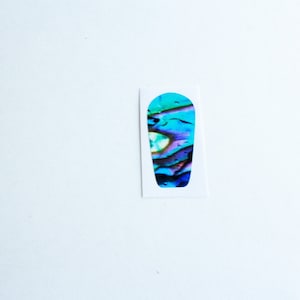 Abalone Shell Dexcom G6 Decal - Etsy