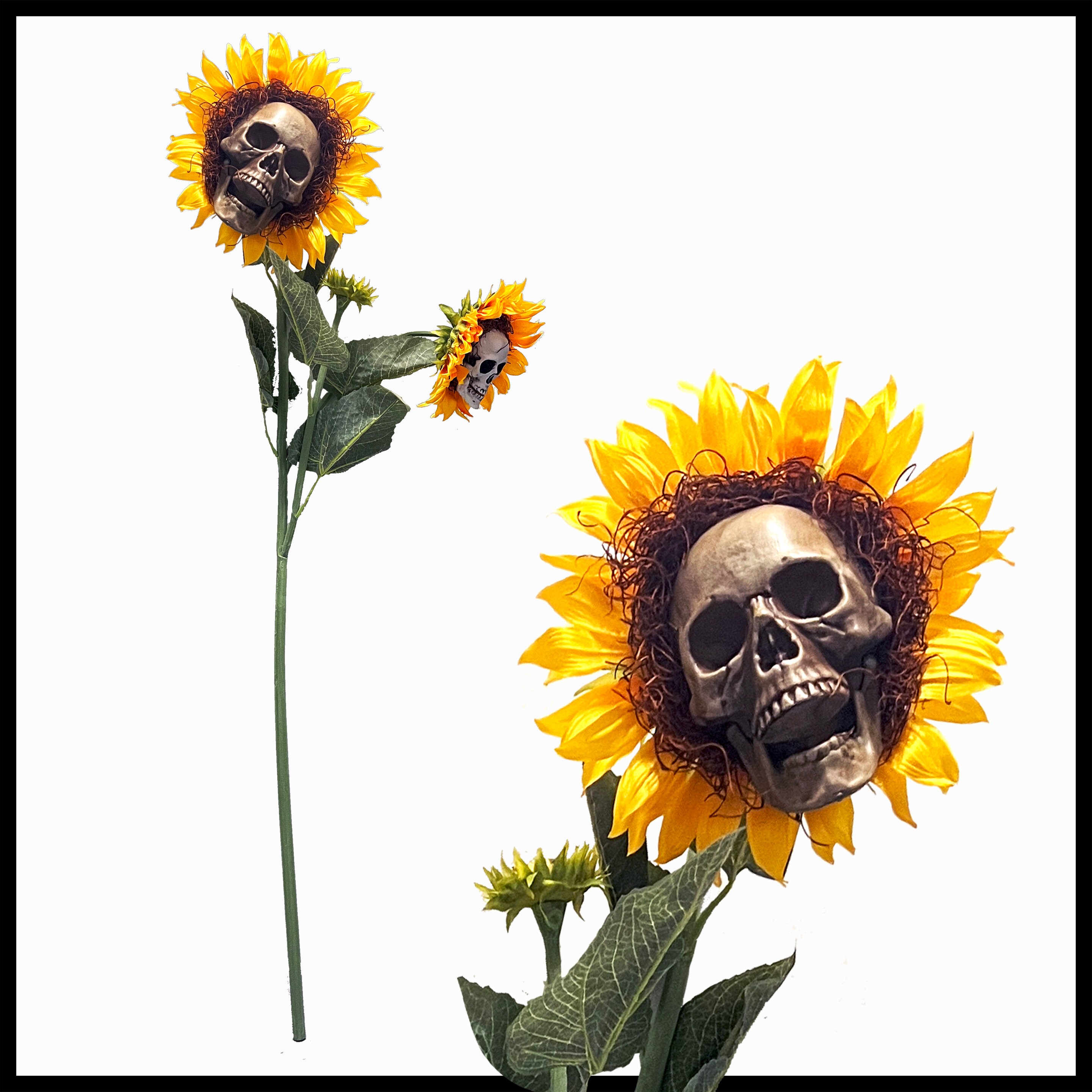 Skull Sunflower Halloween Tall Flower Stalk Spooky Garden Prop Haunted ...