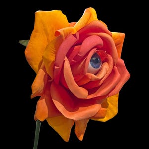 All Seeing Spooky Halloween Tearing Crying Eyeball Rose Flower - Etsy