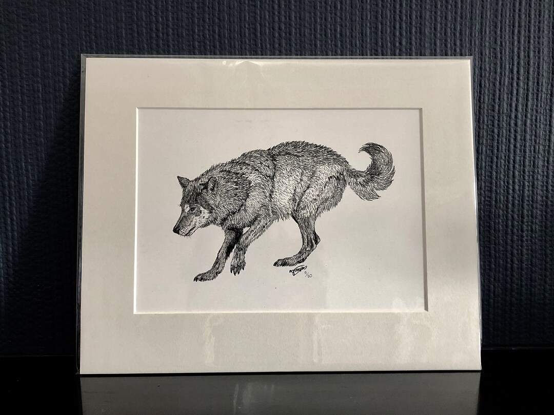 Timber Wolf Limited Edition Print - Etsy