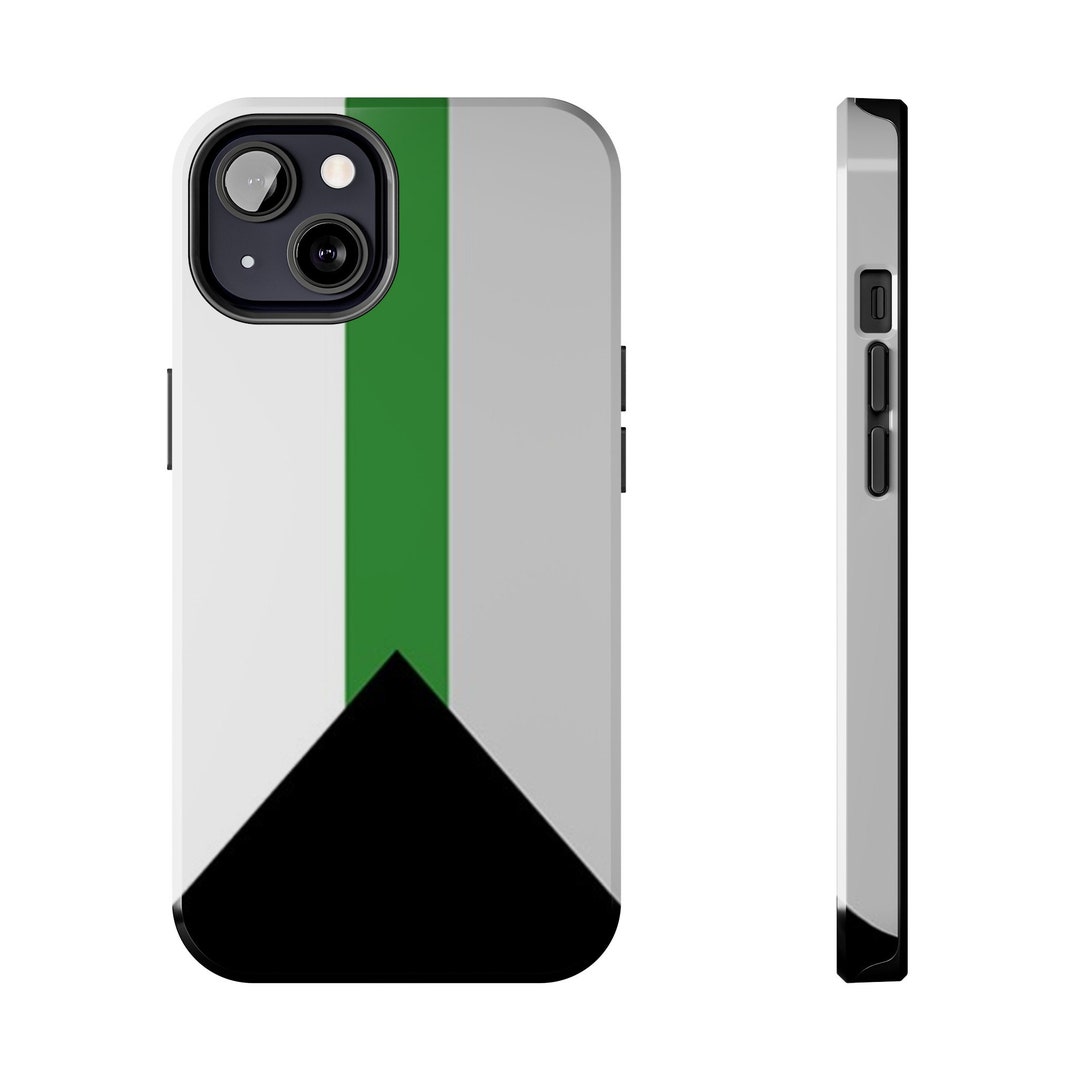 Demiromantic Demi-aro Pride Flag Lgbtq Phone Case - Etsy