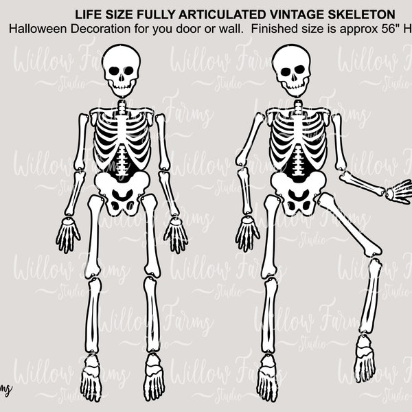 Halloween Life Size Skeletons - Etsy