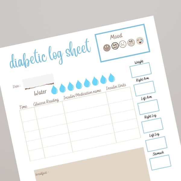 Diabetic Log Sheet - Etsy
