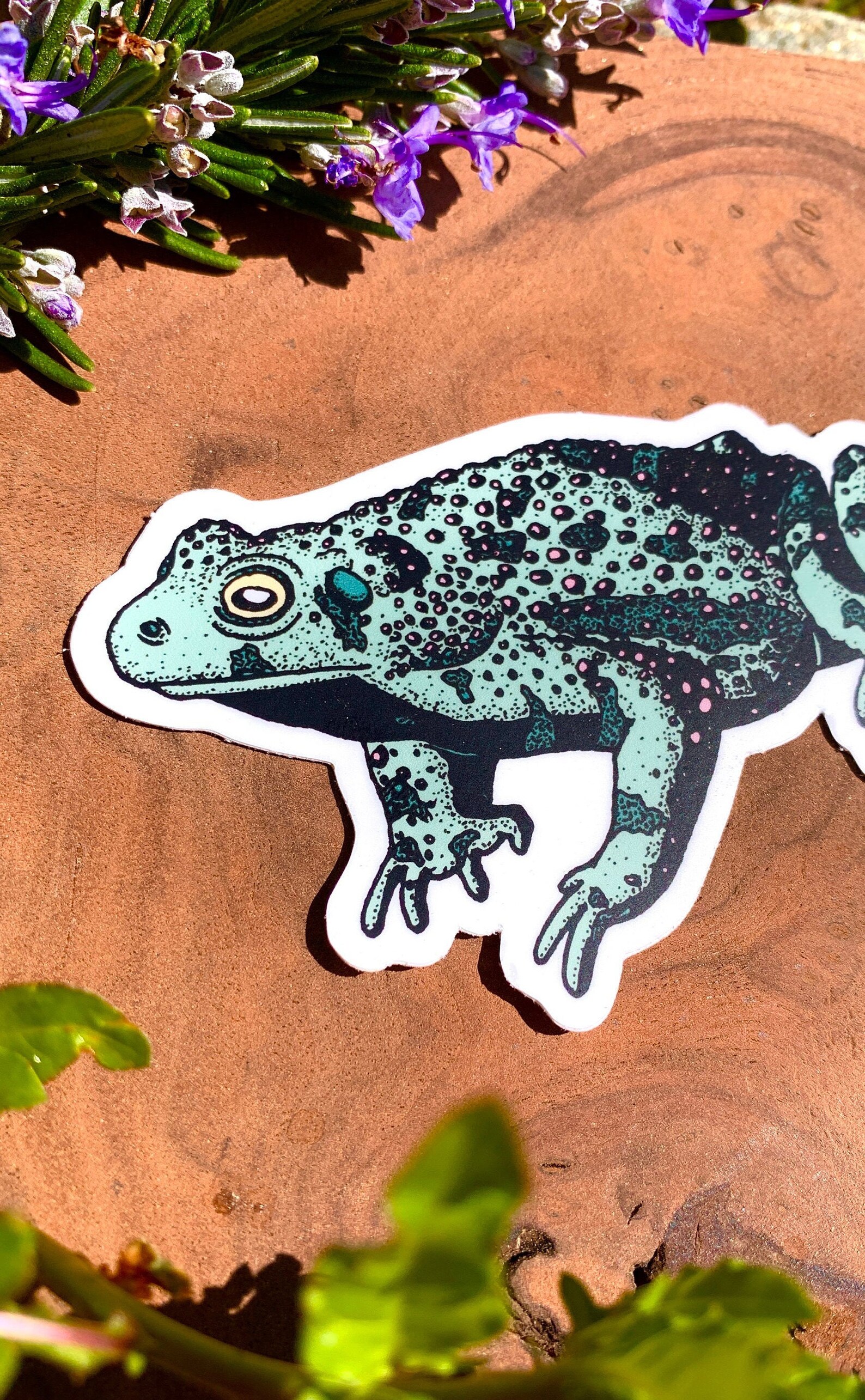 Vinyl Frog Sticker Vinyl Toad Sticker Green Amphibian | Etsy