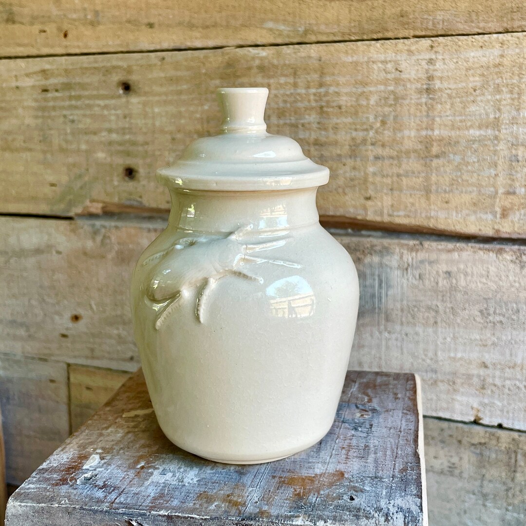 Small Handmade Porcelain Lidded Jar With a Giant Roach Cockroach ...