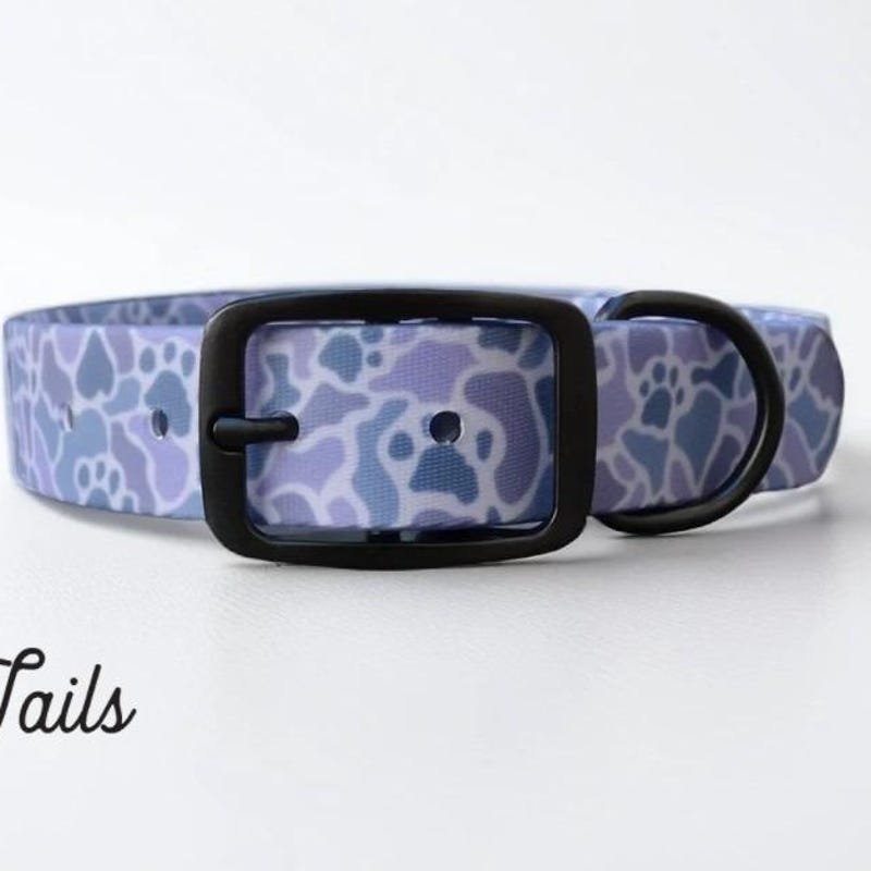 Unique Dog Collar - Etsy