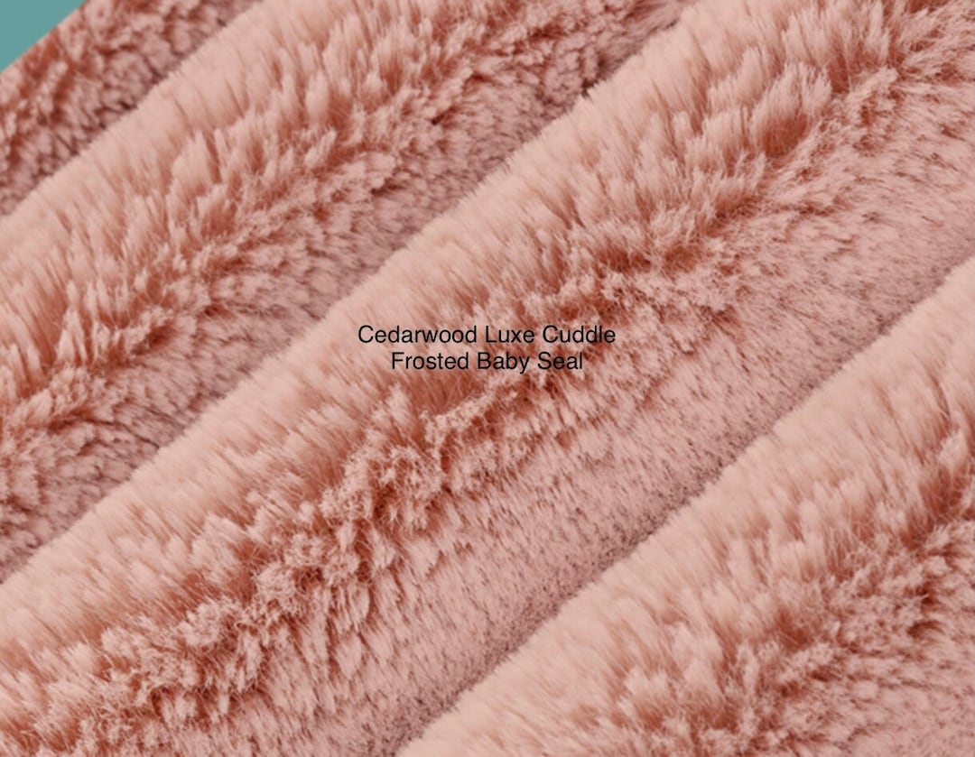Cedarwood Luxe Cuddle Frosted Baby Seal by Shannon Fabrics, Cedarwood Baby Seal, Baby Seal - Etsy
