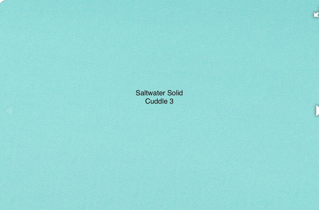 Saltwater Solid Smooth Cuddle 3 Minky From Shannon Fabrics - Etsy