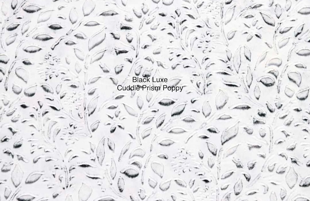 Black Luxe Cuddle Prism Poppy Minky From Shannon Fabrics - Etsy