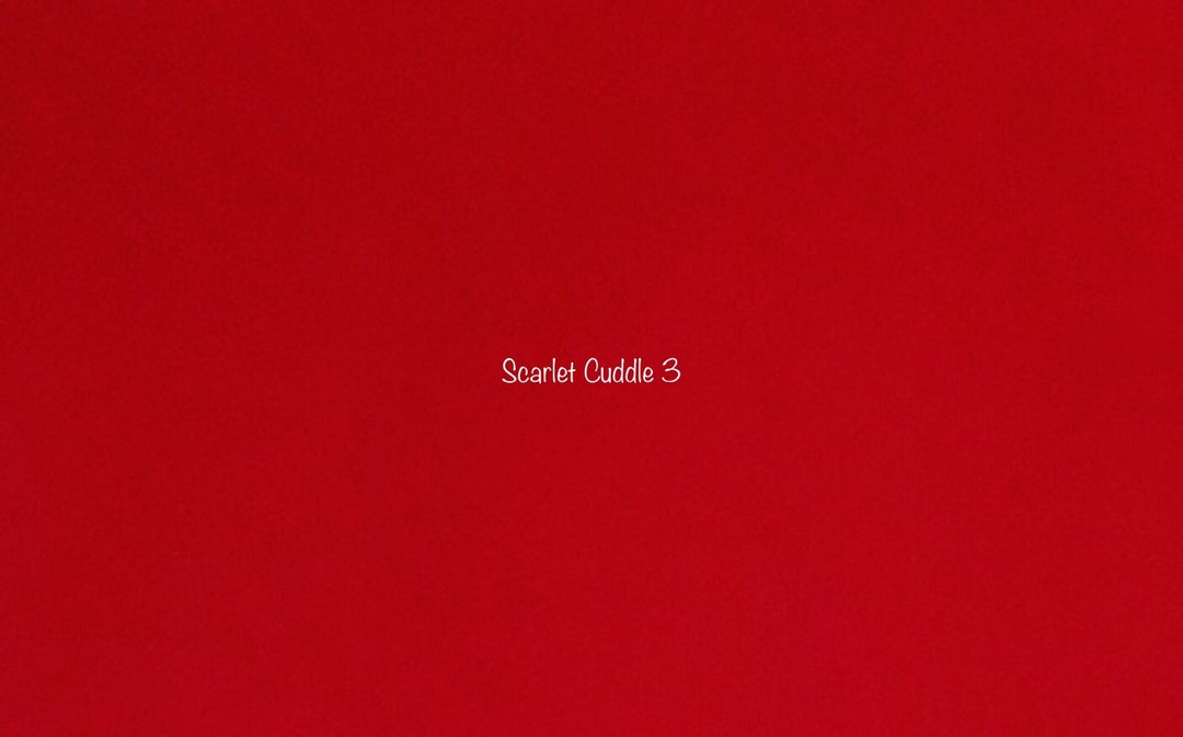 Scarlet Cuddle 3 Minky by Shannon Fabrics - Etsy