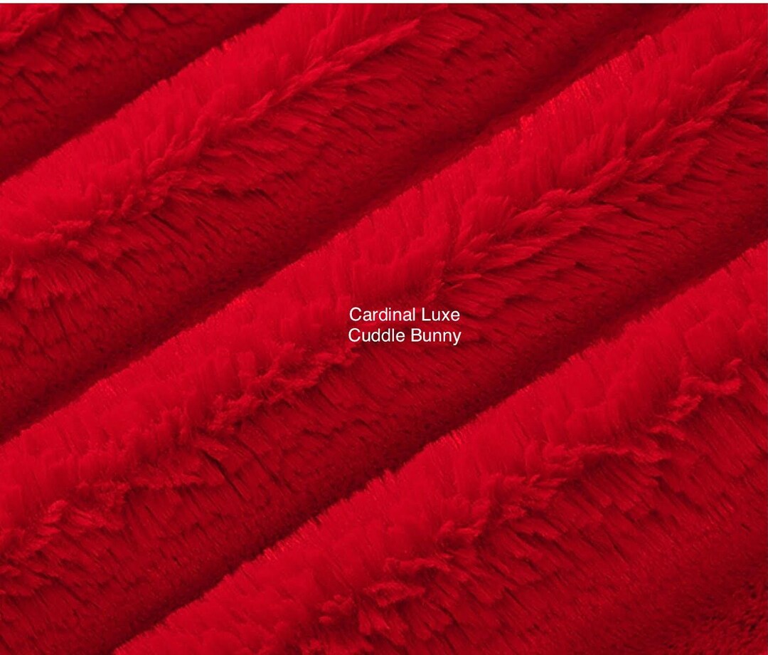 Cardinal Bunny Luxe Cuddle by Shannon Fabrics - Etsy