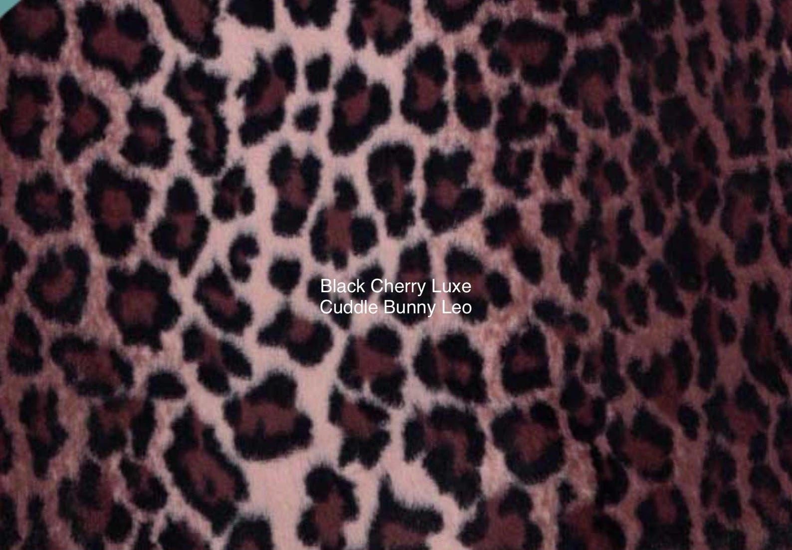 Black Cherry Bunny Leo Shannon Fabrics - Ultra Soft Plush Fabric ...