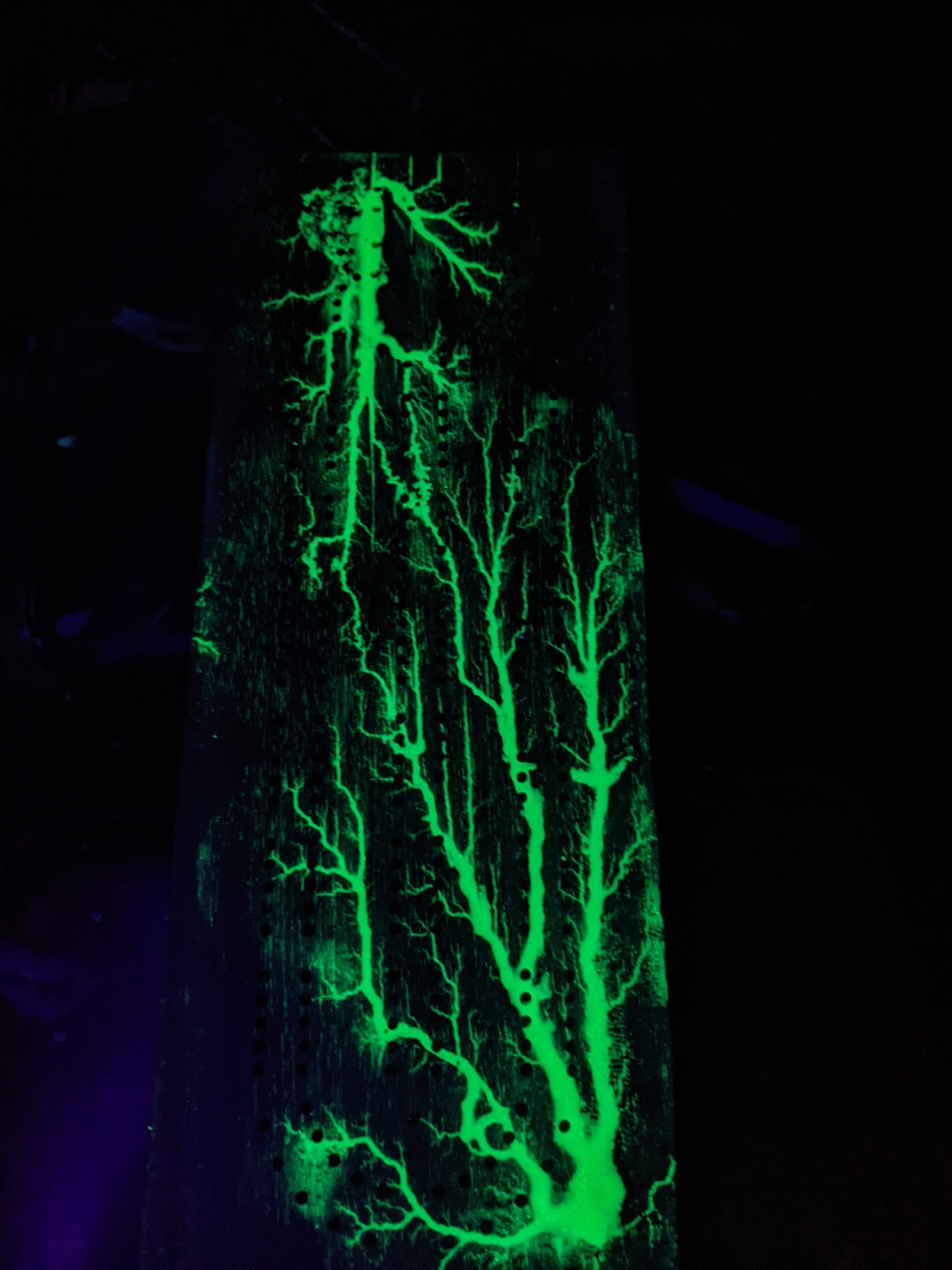 Lighting Cribbage Board - Etsy