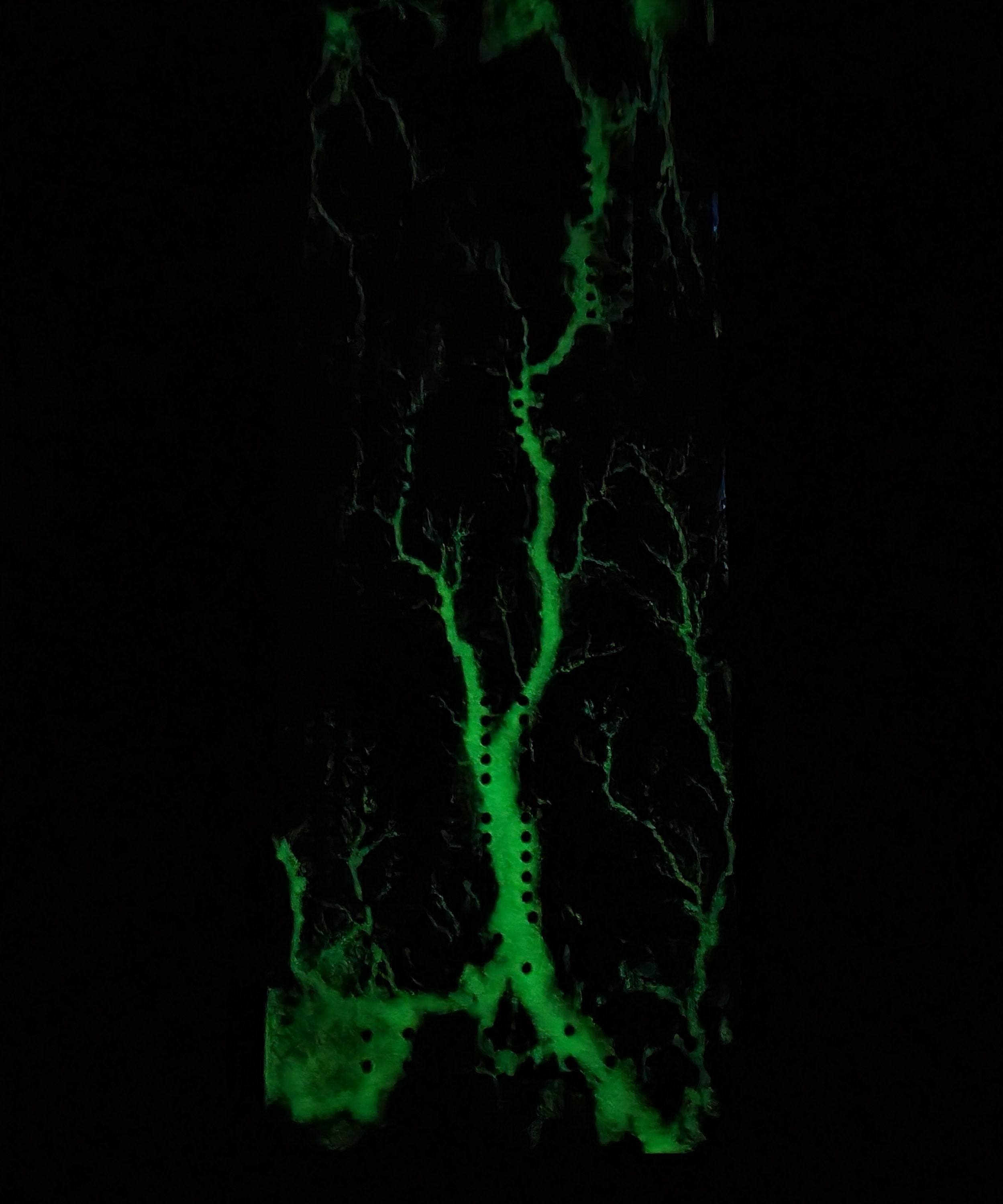 Lighting Cribbage Board - Etsy