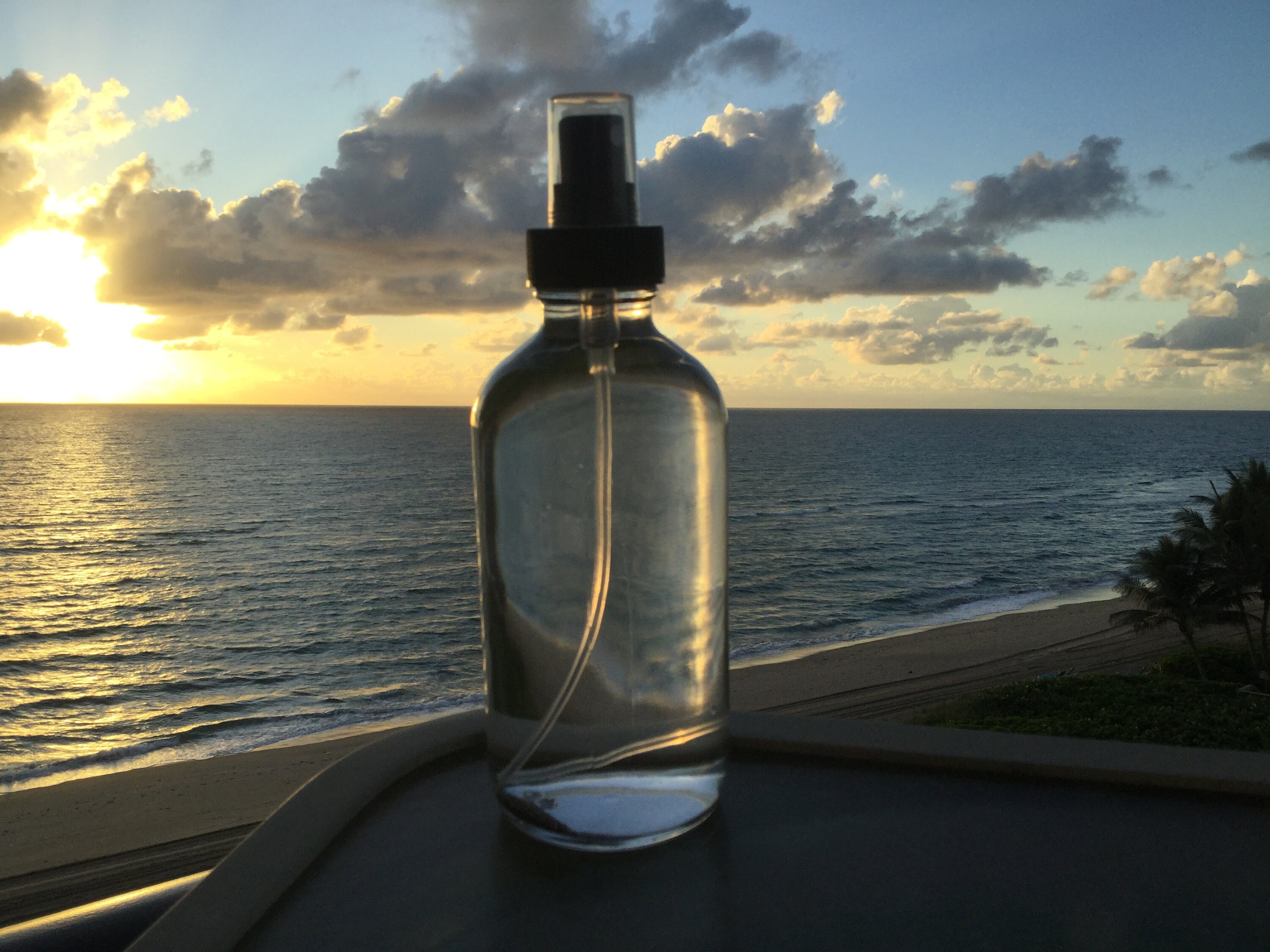 Ocean Water Spray, All Natural Organic Skin Care Mist, Feel Good Mist ...