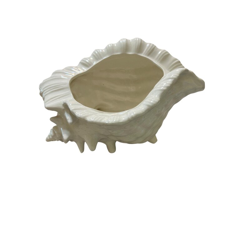 Conch Shell Planter - Etsy